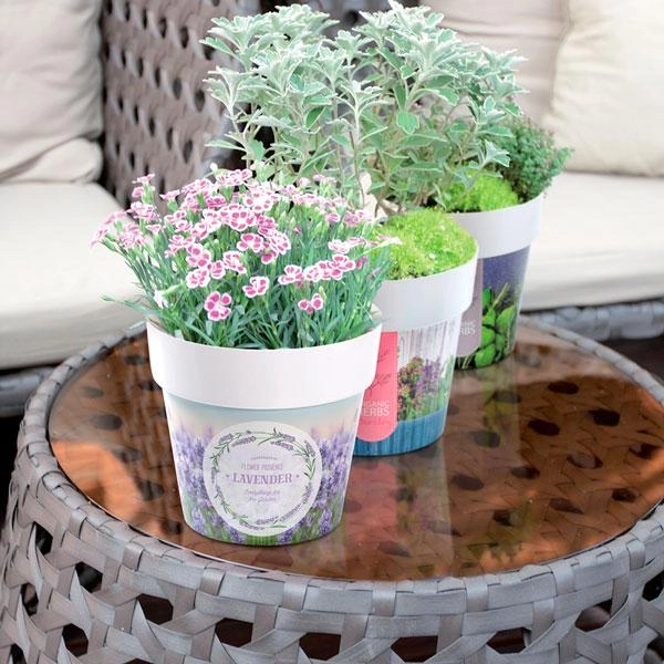 Ghiveci flori cu modele - BonaLux