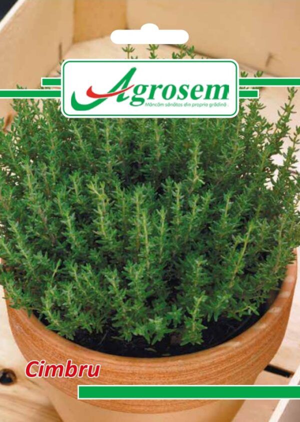 Seminte cimbru - BonaLux
