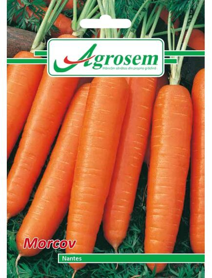 Seminte morcov Nantes Agrosem - BonaLux