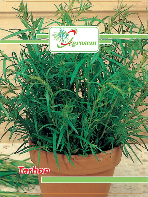 Seminte Tarhon - BonaLux